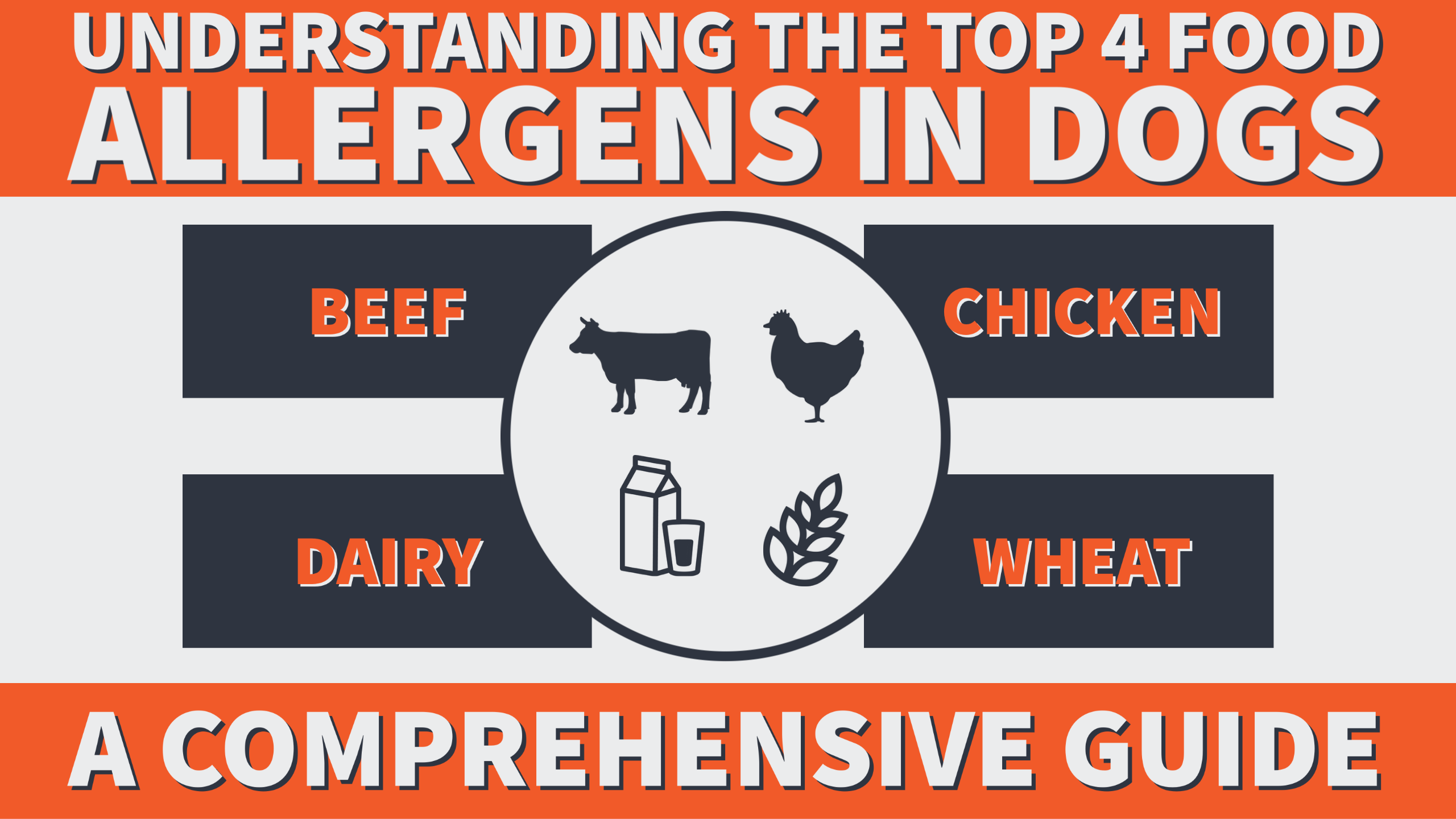 Understanding the Top 4 Food Allergens in Dogs: A Comprehensive Guide – Ruby Reese