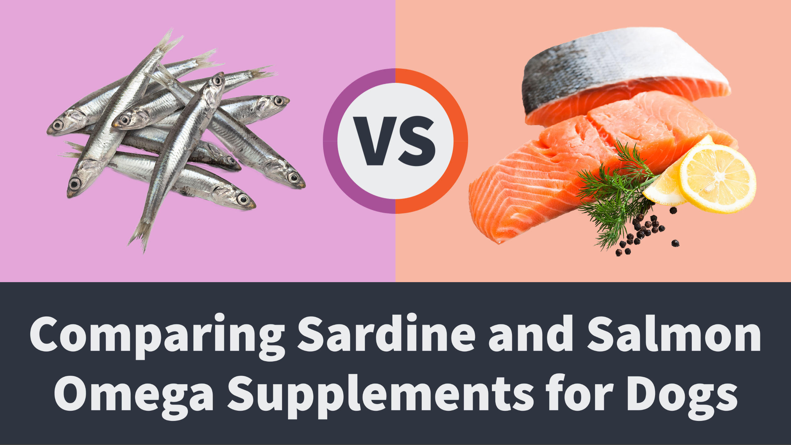 Comparing Sardine and Salmon Omega Supplements for Dogs – Ruby Reese
